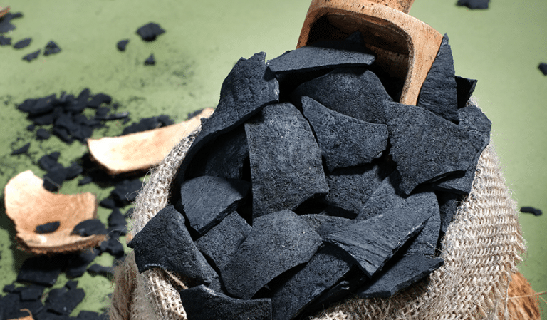 Types of Charcoal: Everything You Need to Know